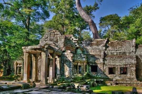 Ta Prohm Guide: What to Expect at the Iconic Jungle Temple