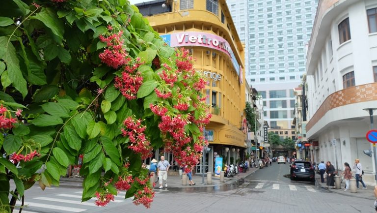 Saigon Travel Guide – Best Attractions, Food & Itineraries