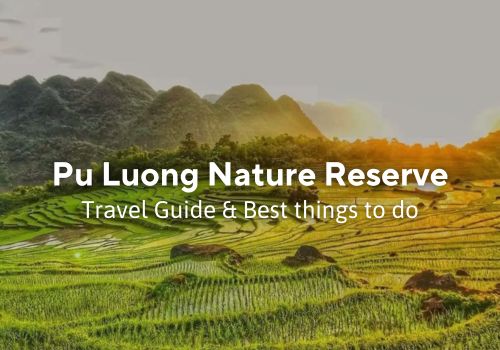 Pu Luong Nature Reserve - 7 Best things to do & Travel Guide