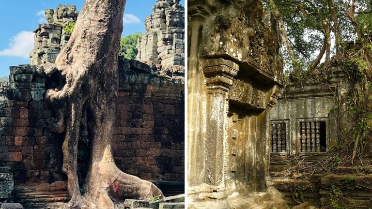 Why Beng Mealea Is Worth the Trip from Siem Reap