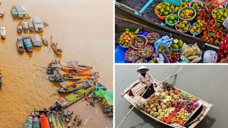 Mekong Delta Travel Guide: Complete Journey Through Southern Vietnam